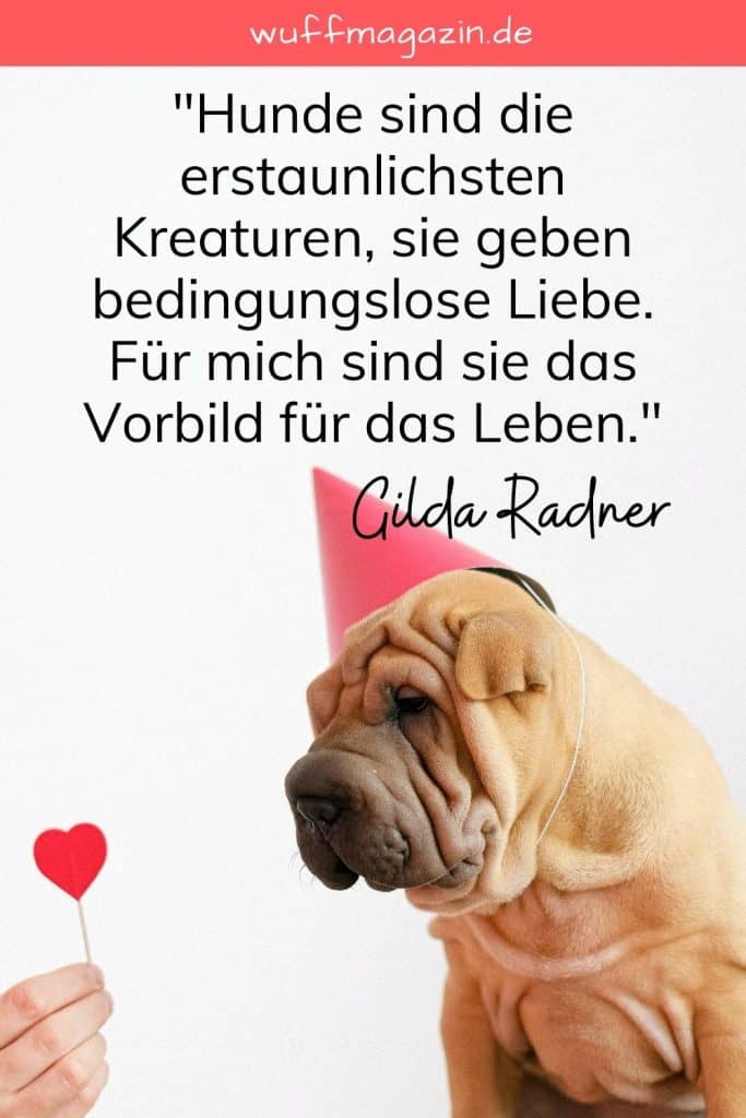 Hunde Sprüche: Die Schönsten Hundezitate Und Weisheiten
