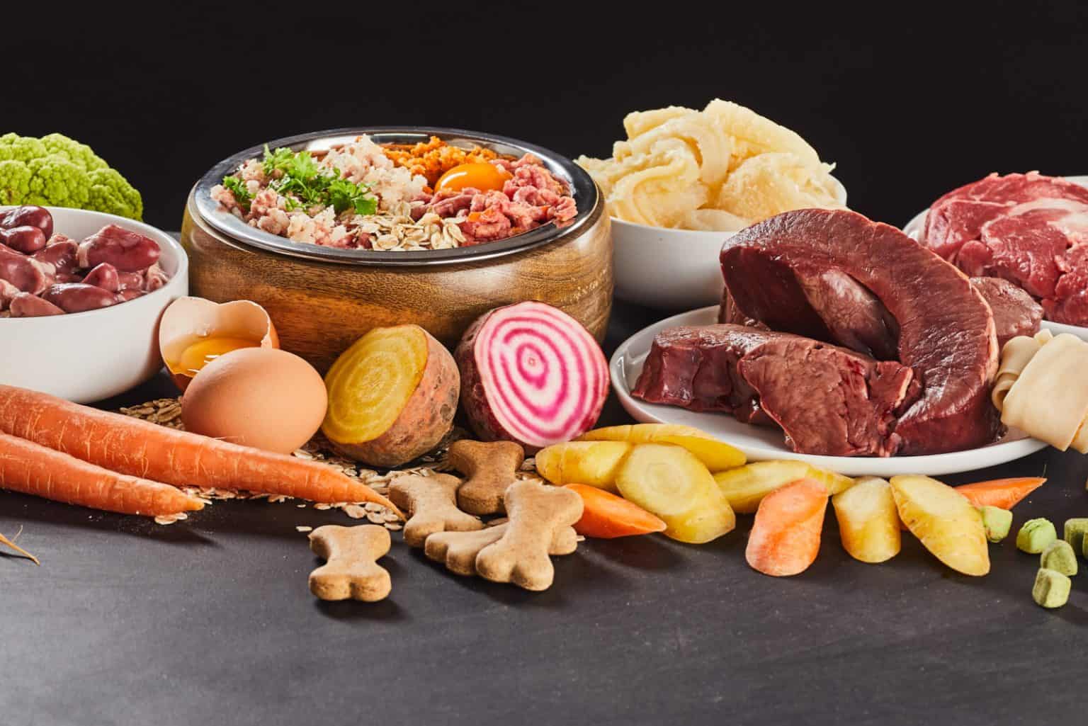 Was heißt Barfen? Alles über die Rohfütterung beim Hund