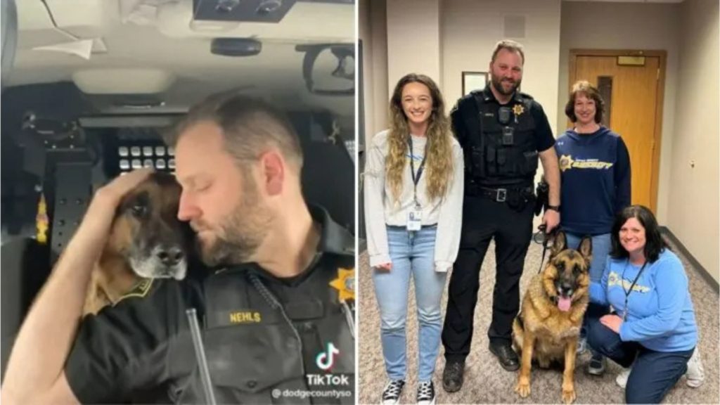 Alles Gute für den Ruhestand, Tek! Polizeihund bekommt emotionalen ...