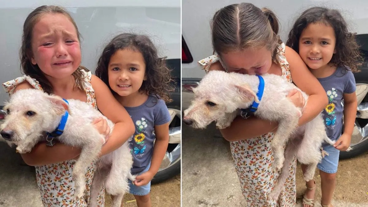 Die Reaktion dieses Mädchens, das ihren Hund nach zwei langen Monaten ...