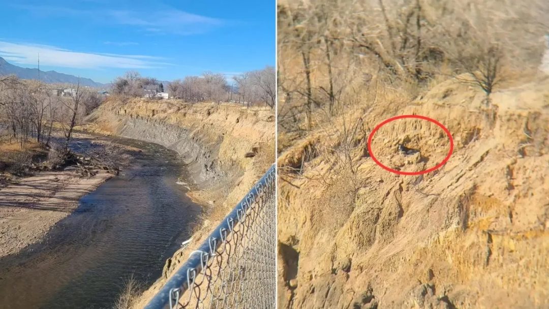 Ein Mann bemerkte, dass sich am Rande einer Klippe etwas versteckte ...